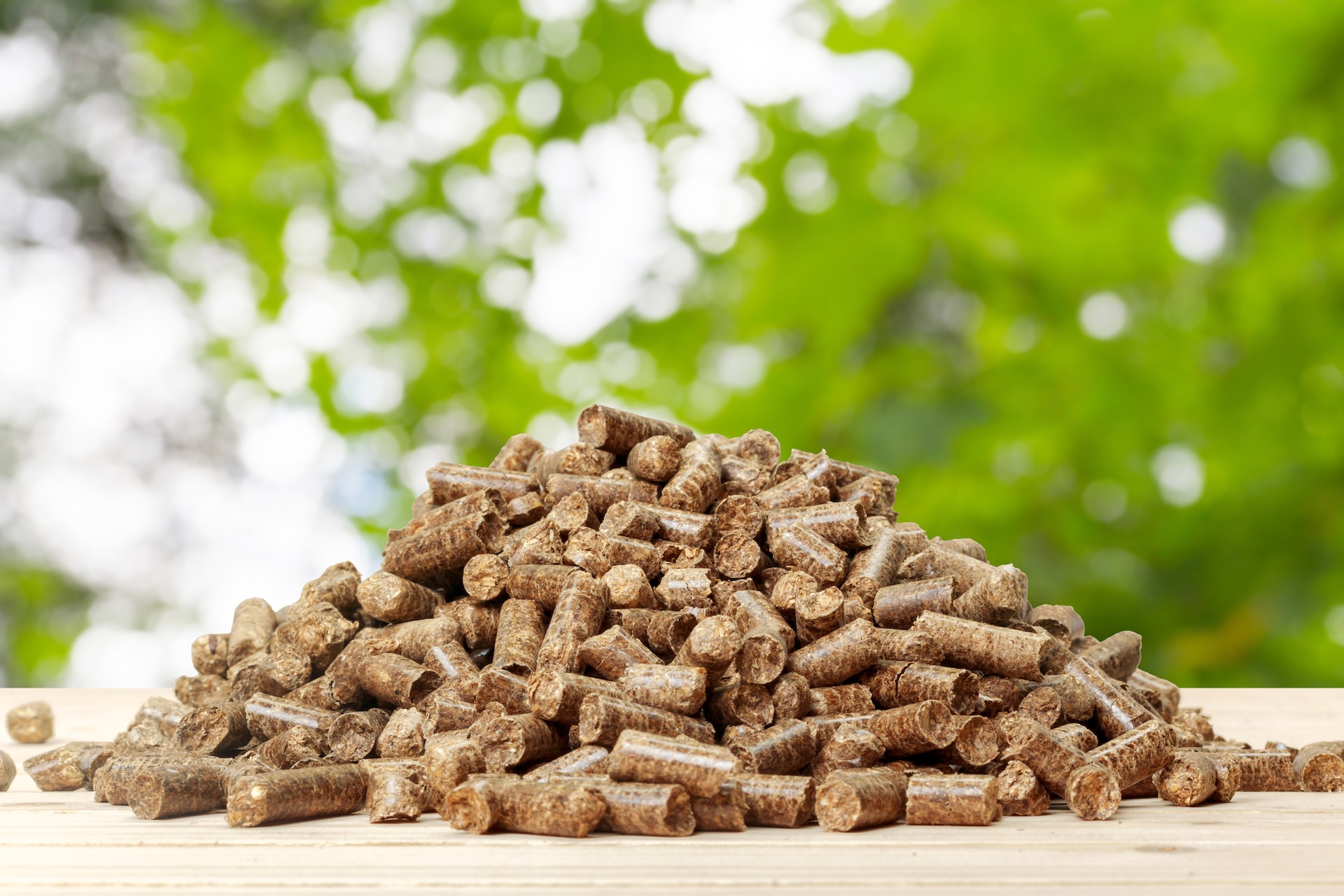 Biomass Conversion & Co-firing Solutions | RJM International